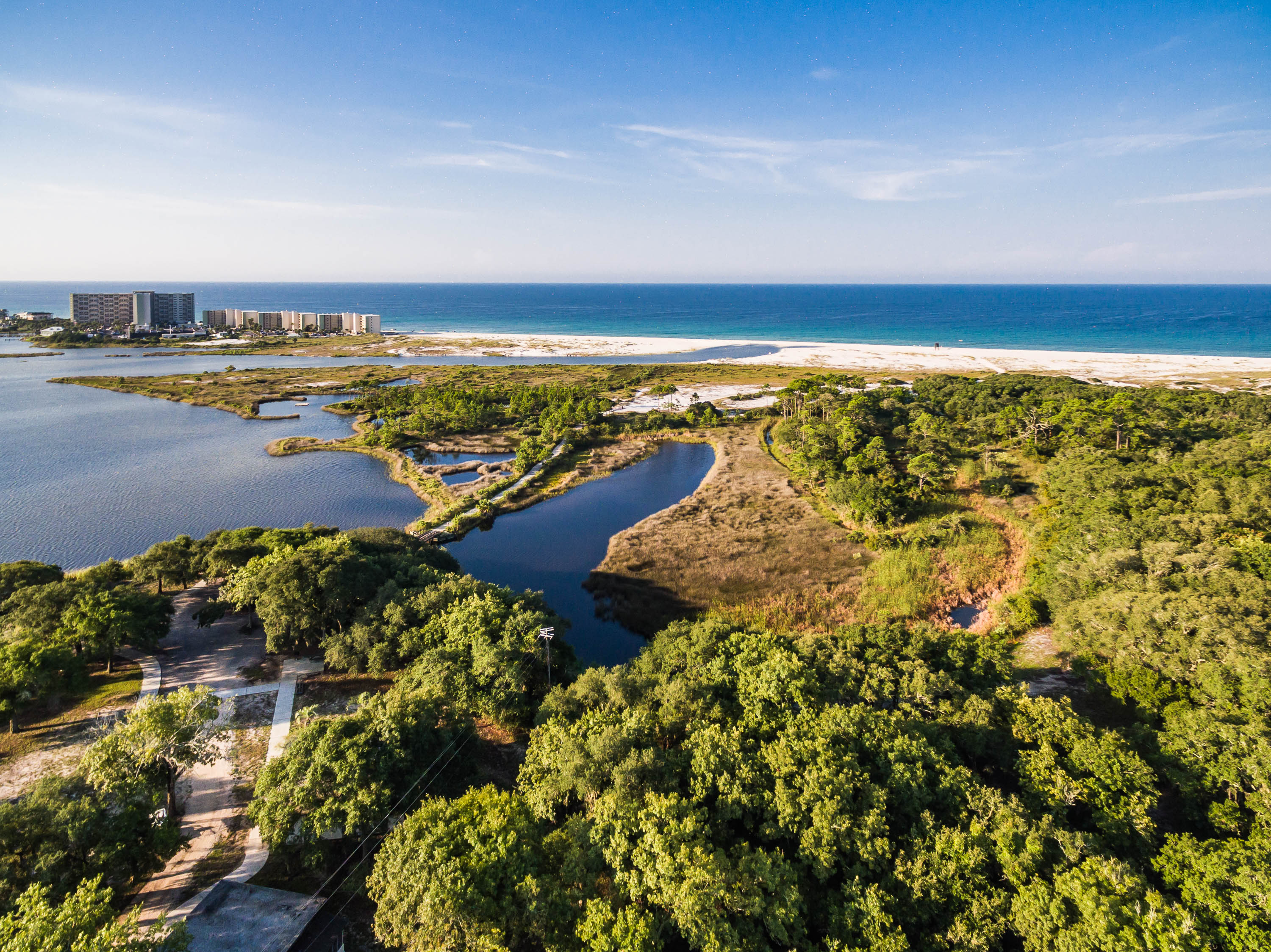 Camp Helen State Park Kayak/SUP Rentals | SoWal Forum - South Walton ...