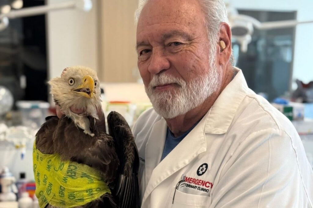 Panhandle Wildlife Rescue opens wildlife rehabilitation center and ...